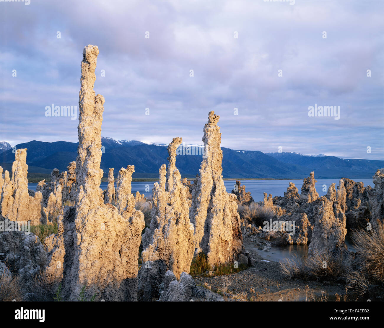 Tufa formations on the shoreline of Mono Lake. (Large format sizes ...