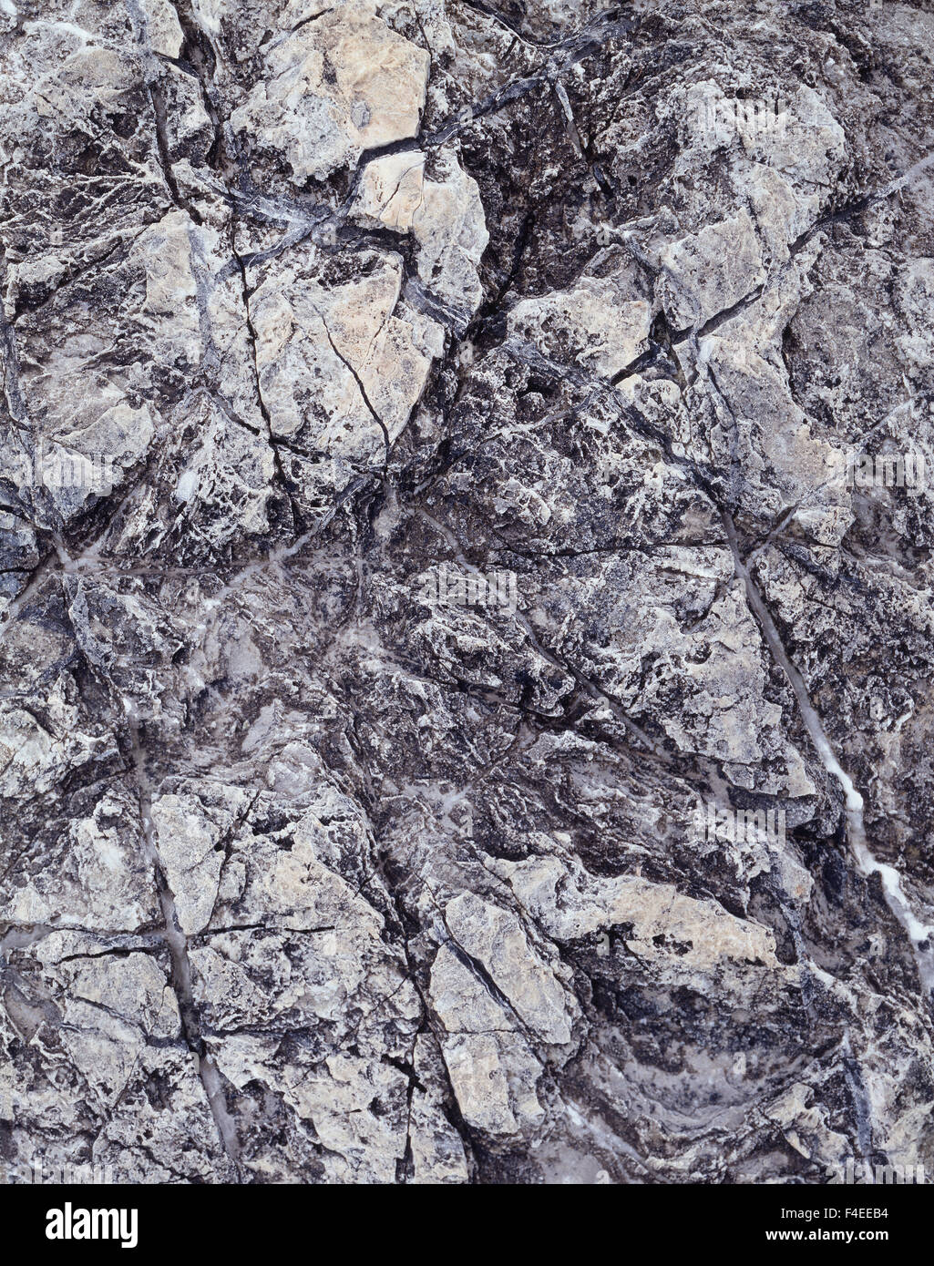 Patterns of a rock formation. Inyo National Forest, Sierra Nevada ...