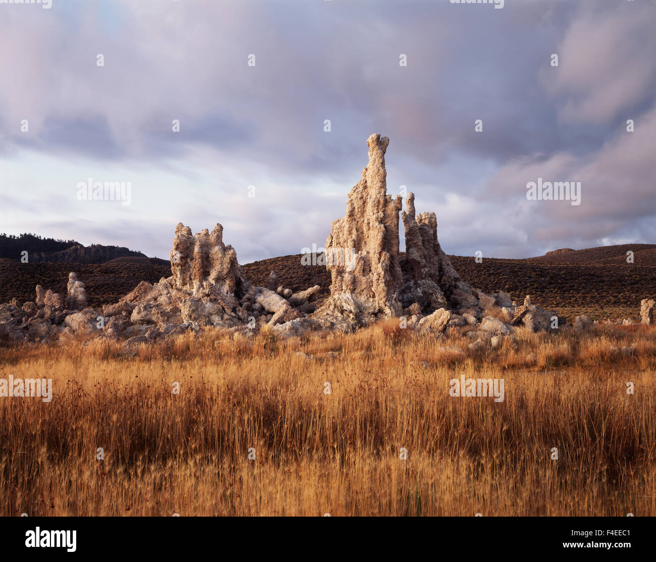 California, Sierra Nevada Mountains, Tufa formations along the shore of ...