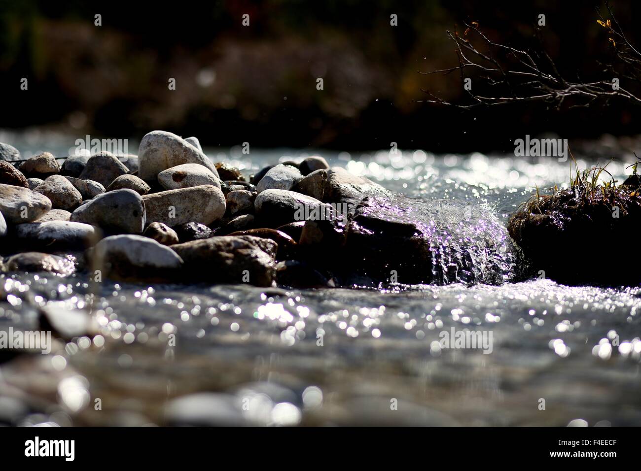 Colorado river rocks hi-res stock photography and images - Alamy