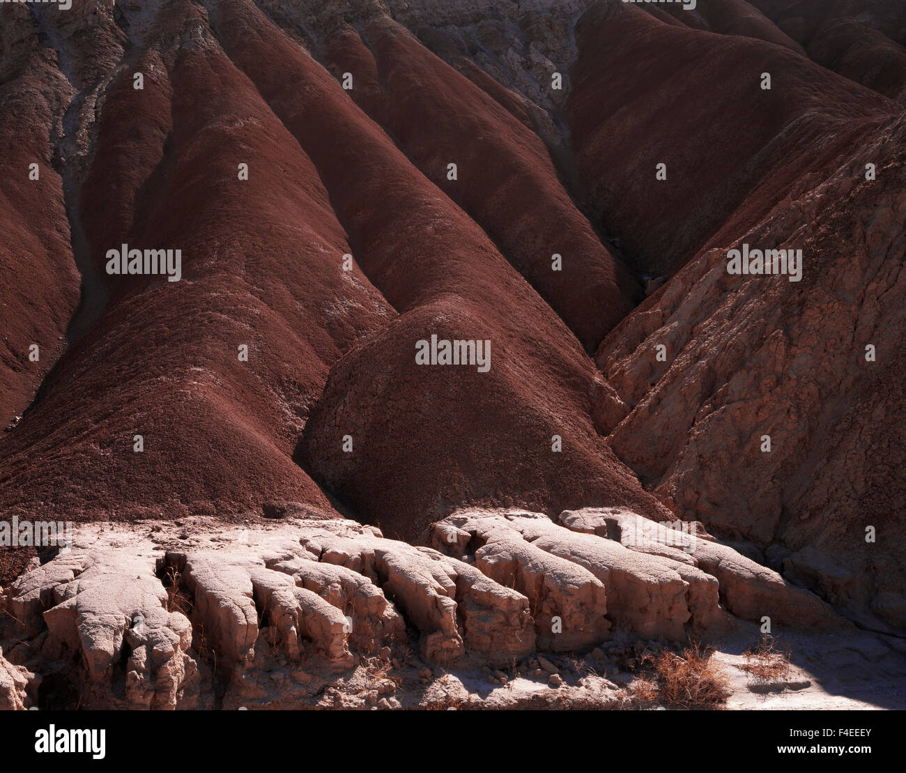 California, Anza Borrego Desert State Park, Sandstone rock formations ...
