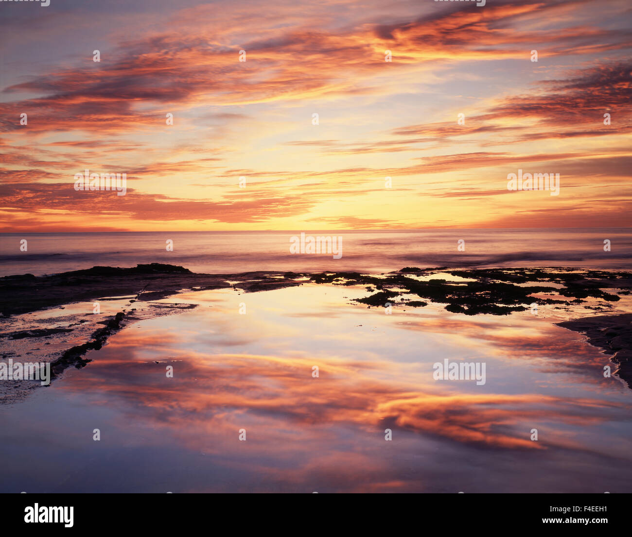 California, San Diego, Sunset Cliffs, Sunset reflecting in a tide pool ...