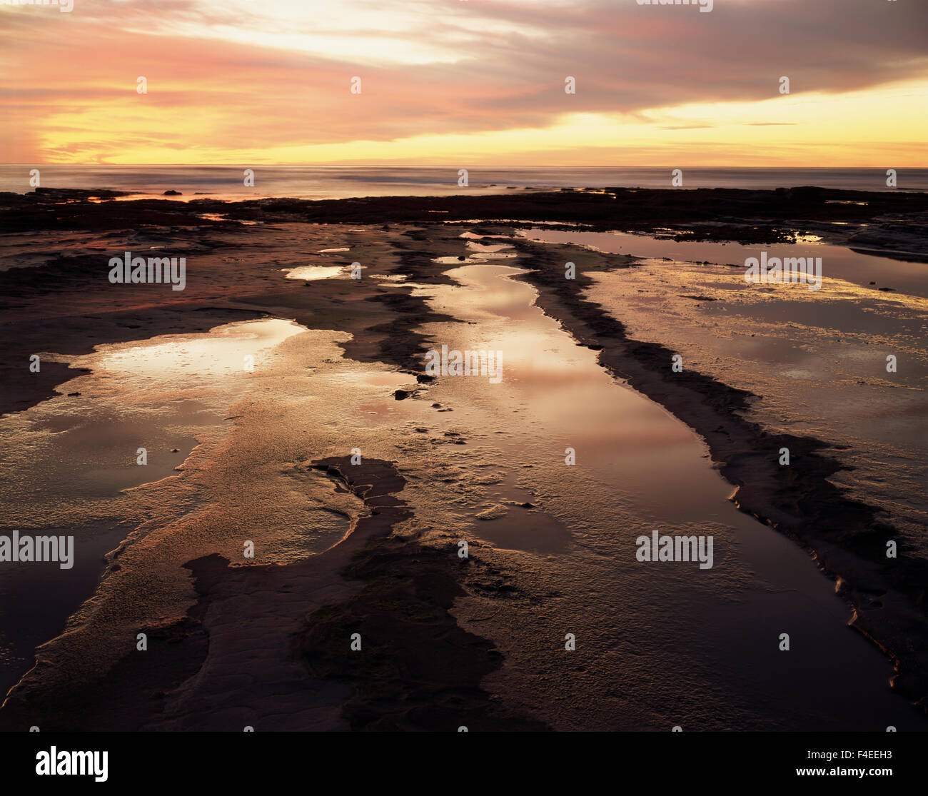 California, San Diego, Sunset Cliffs, Sunset reflecting in tide pools ...
