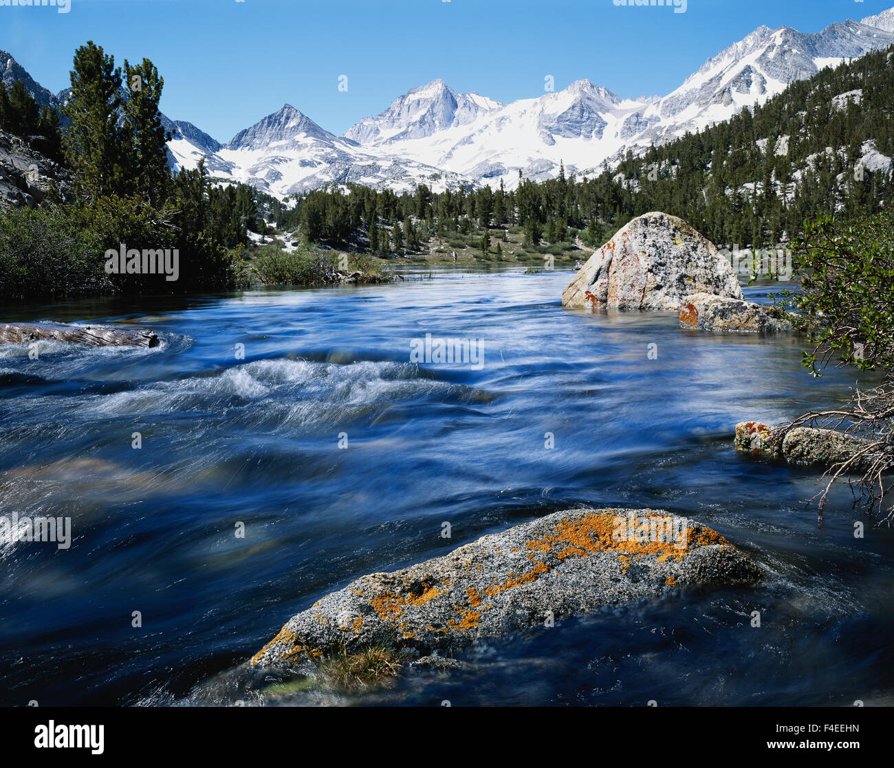 California, Sierra Nevada Mountains, Inyo National Forest, Lichen ...