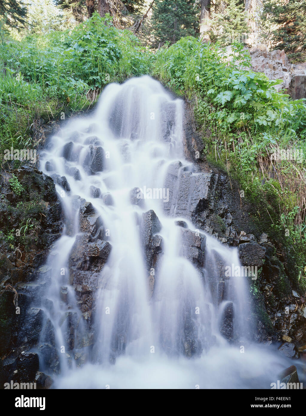 California, Sierra Nevada Mountains, Inyo National Forest, A small ...
