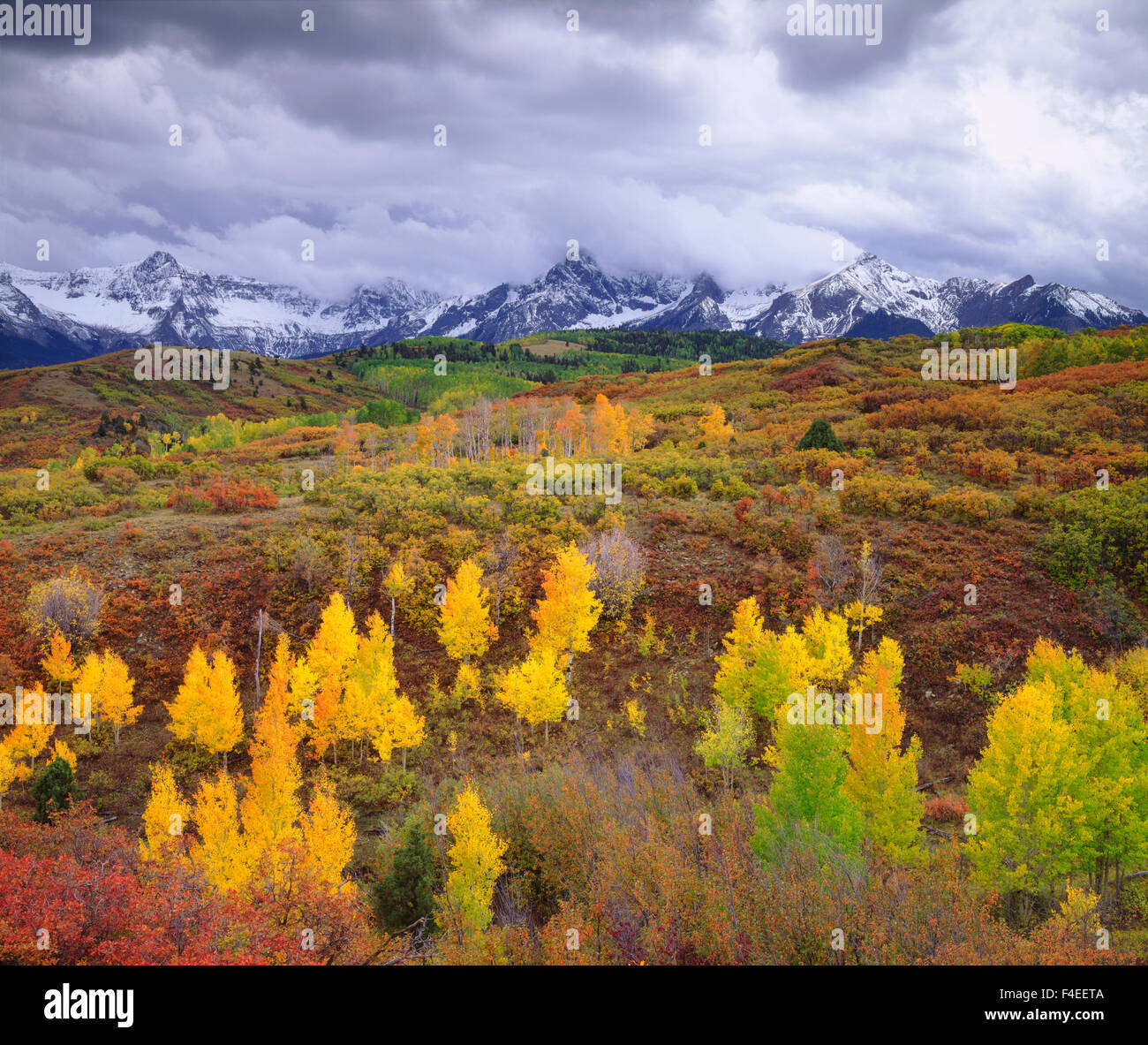 USA, Colorado, Rocky Mountains, Autumn in the Rockies (Large format ...