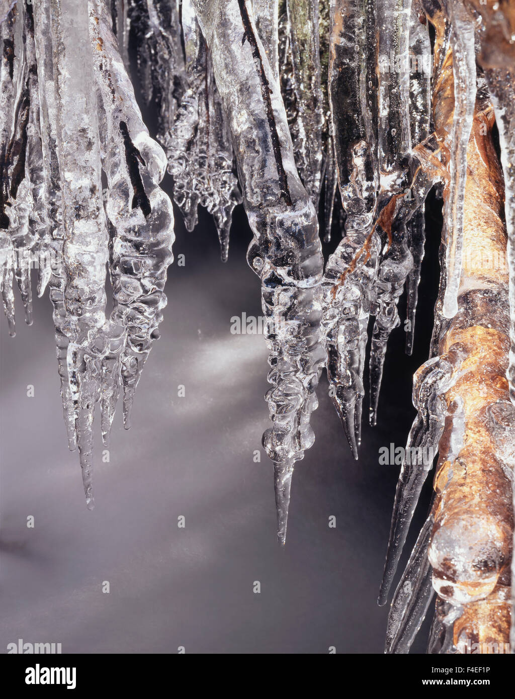 California, Sierra Nevada Mountains, Inyo National Forest, Icicles ...