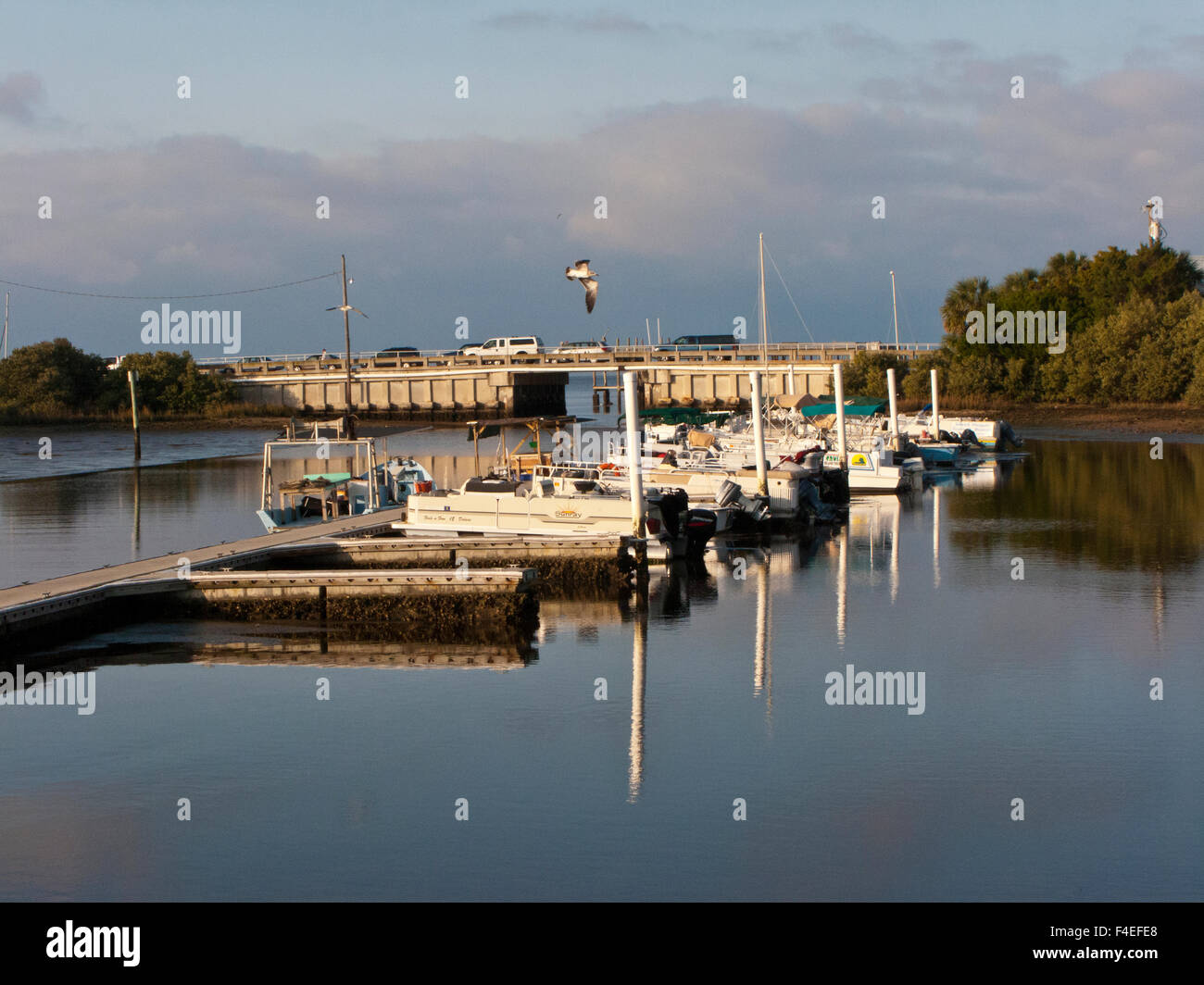 USA, Florida, Cedar Key, Marina Dock and Boats Stock Photo - Alamy