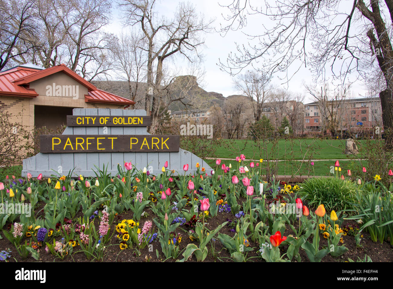 USA, Colorado, Golden. Spring flower display at Parfet Park in center ...