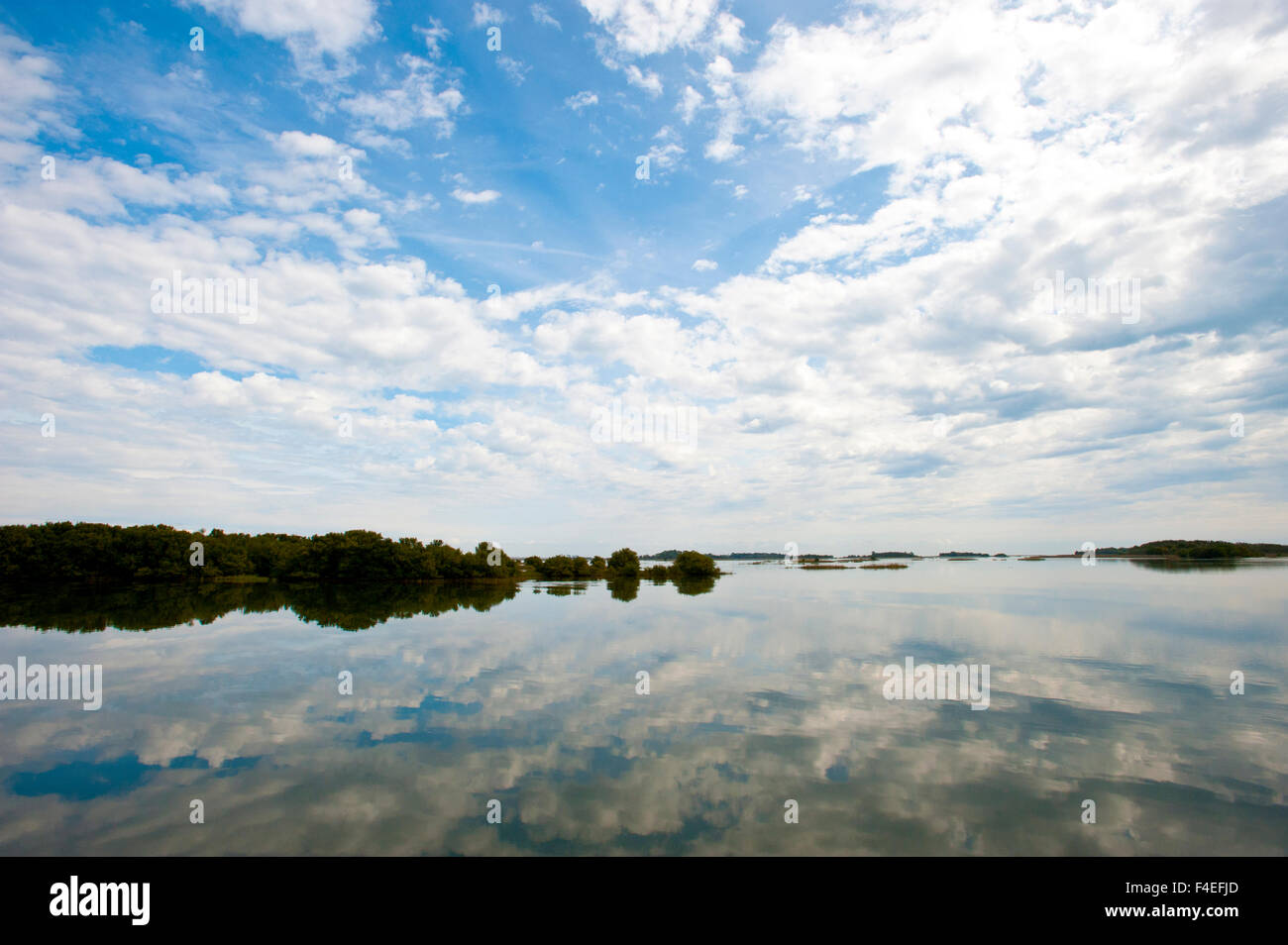 Bay cedar florida hi-res stock photography and images - Alamy