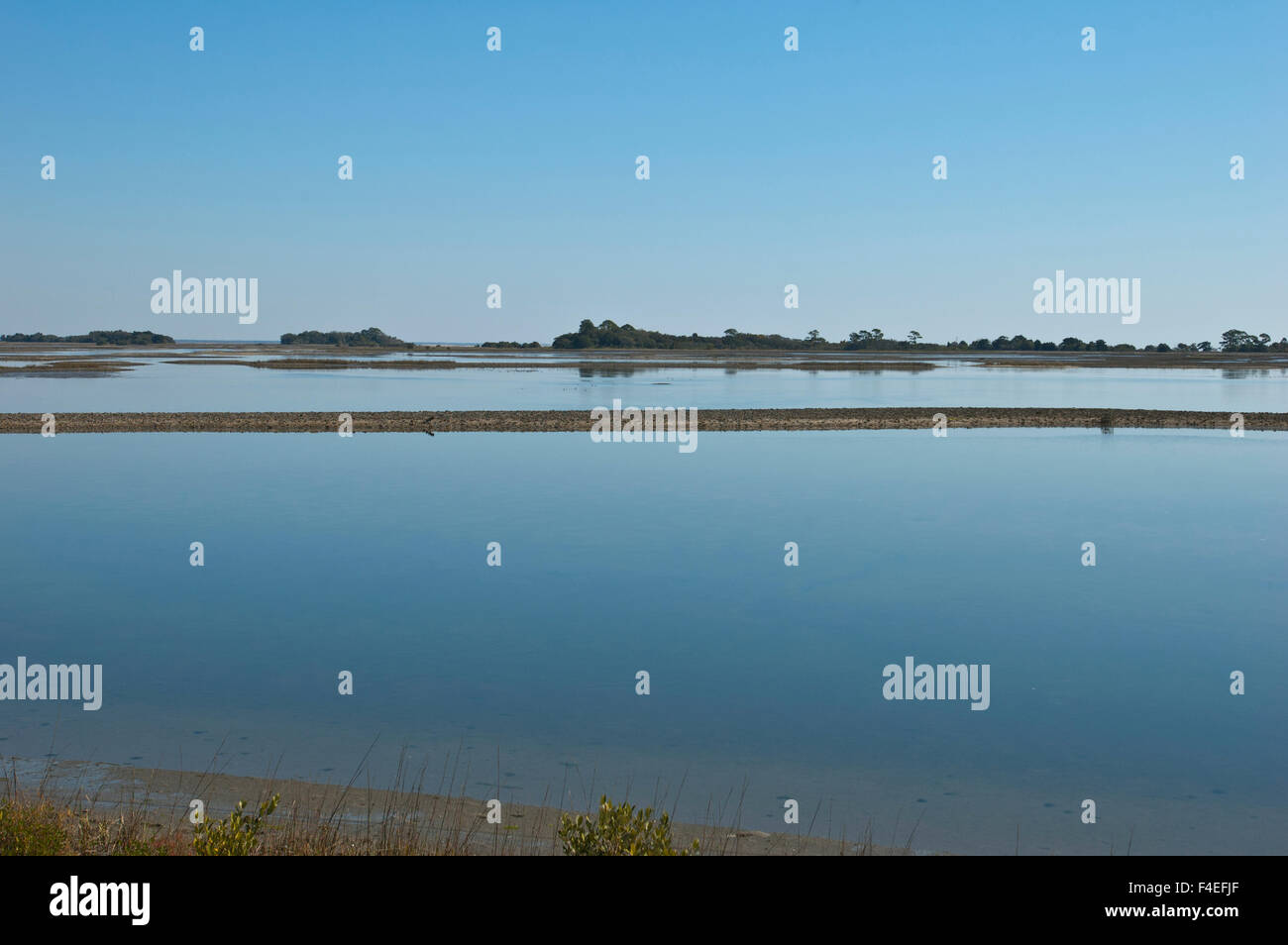 Scenic back bayou hi-res stock photography and images - Alamy