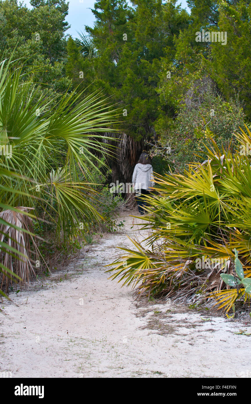 USA, Florida. Woman Hiker on Cedar Key Railroad Trestle Nature Trail ...