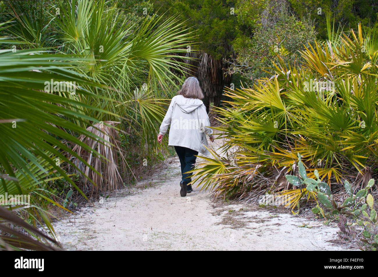 USA, Florida. Woman Hiker on Cedar Key Railroad Trestle Nature Trail ...