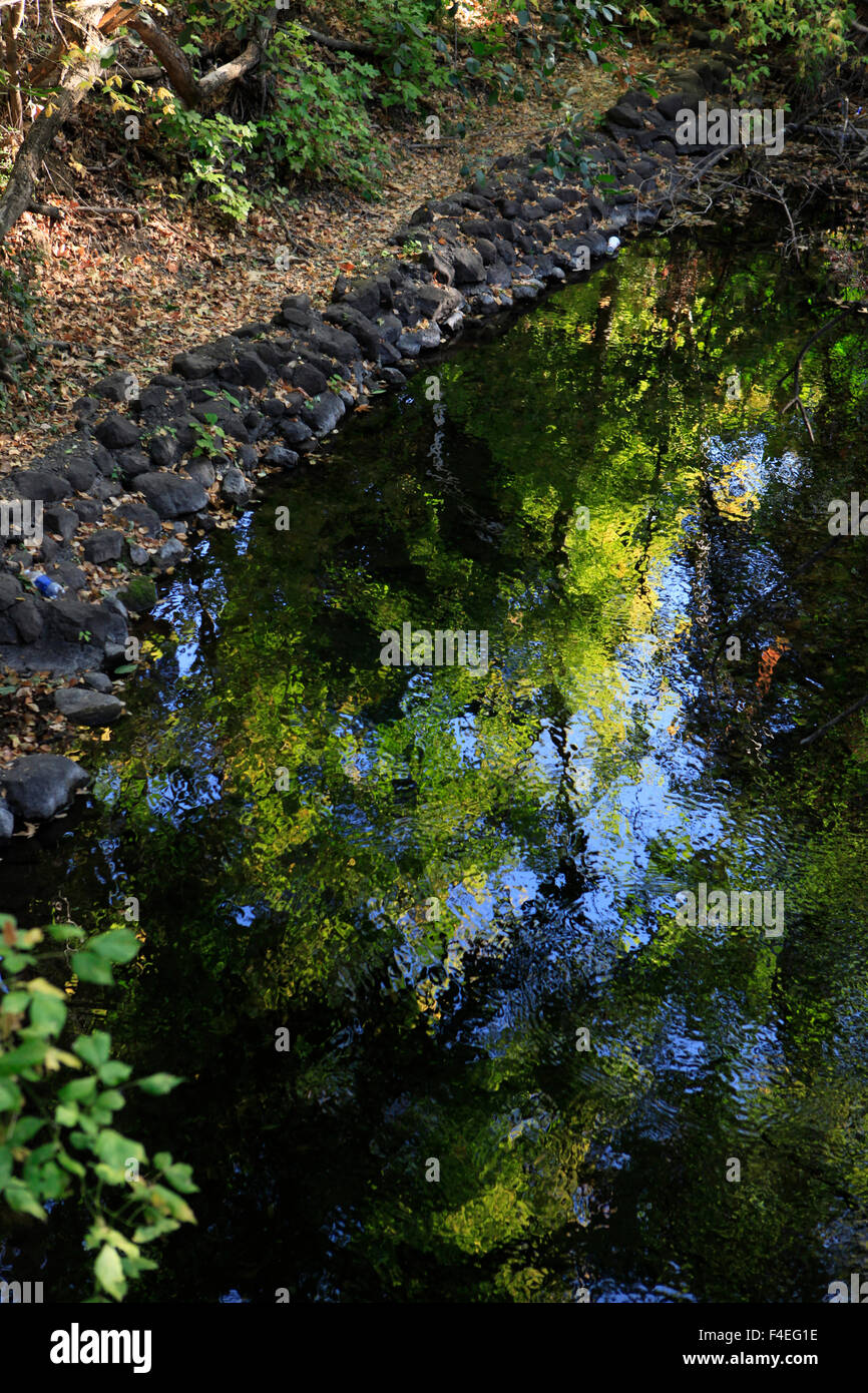 Path and pond Stock Photo - Alamy