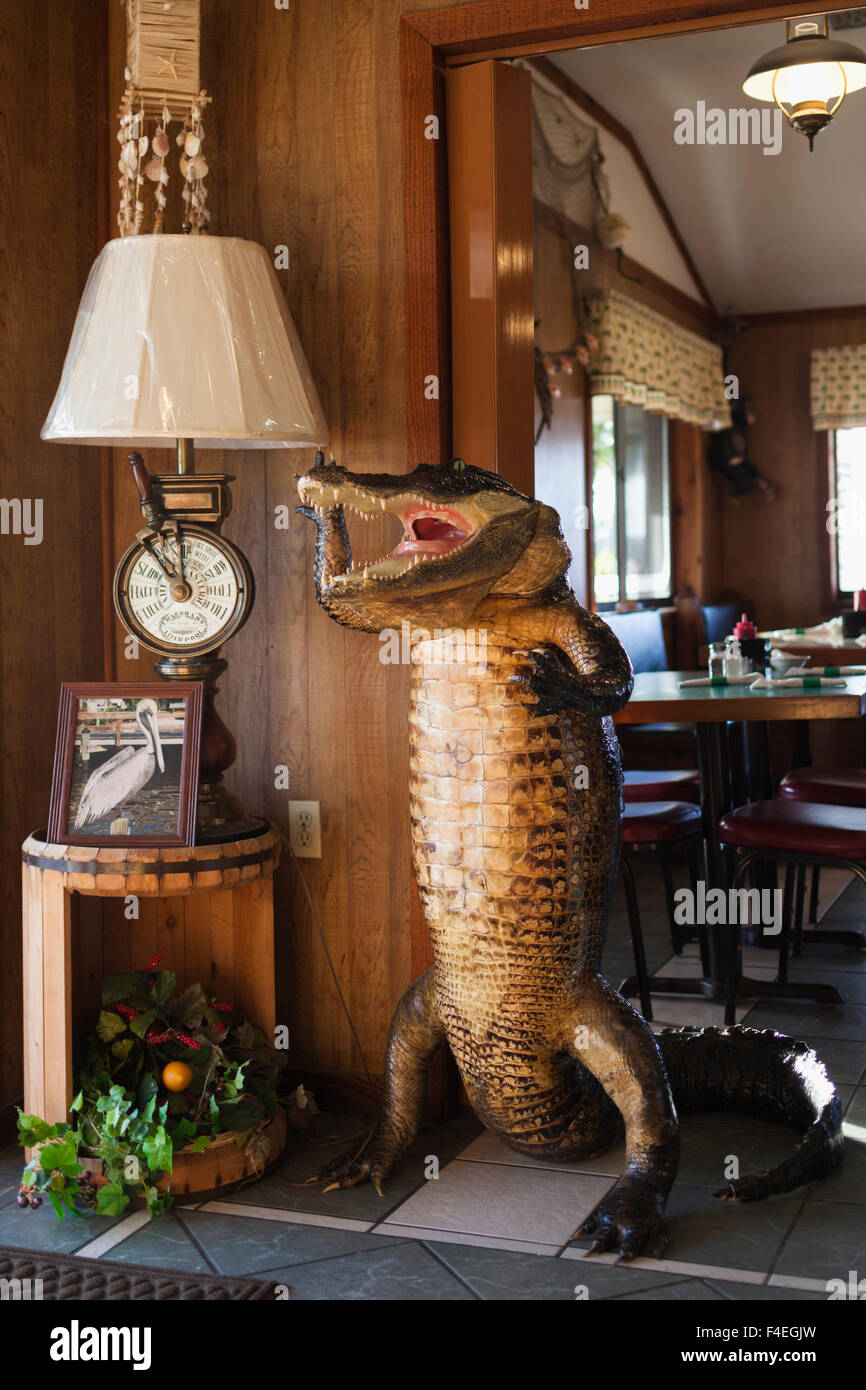 USA, Florida, Everglades National Park, Everglades City, stuffed ...