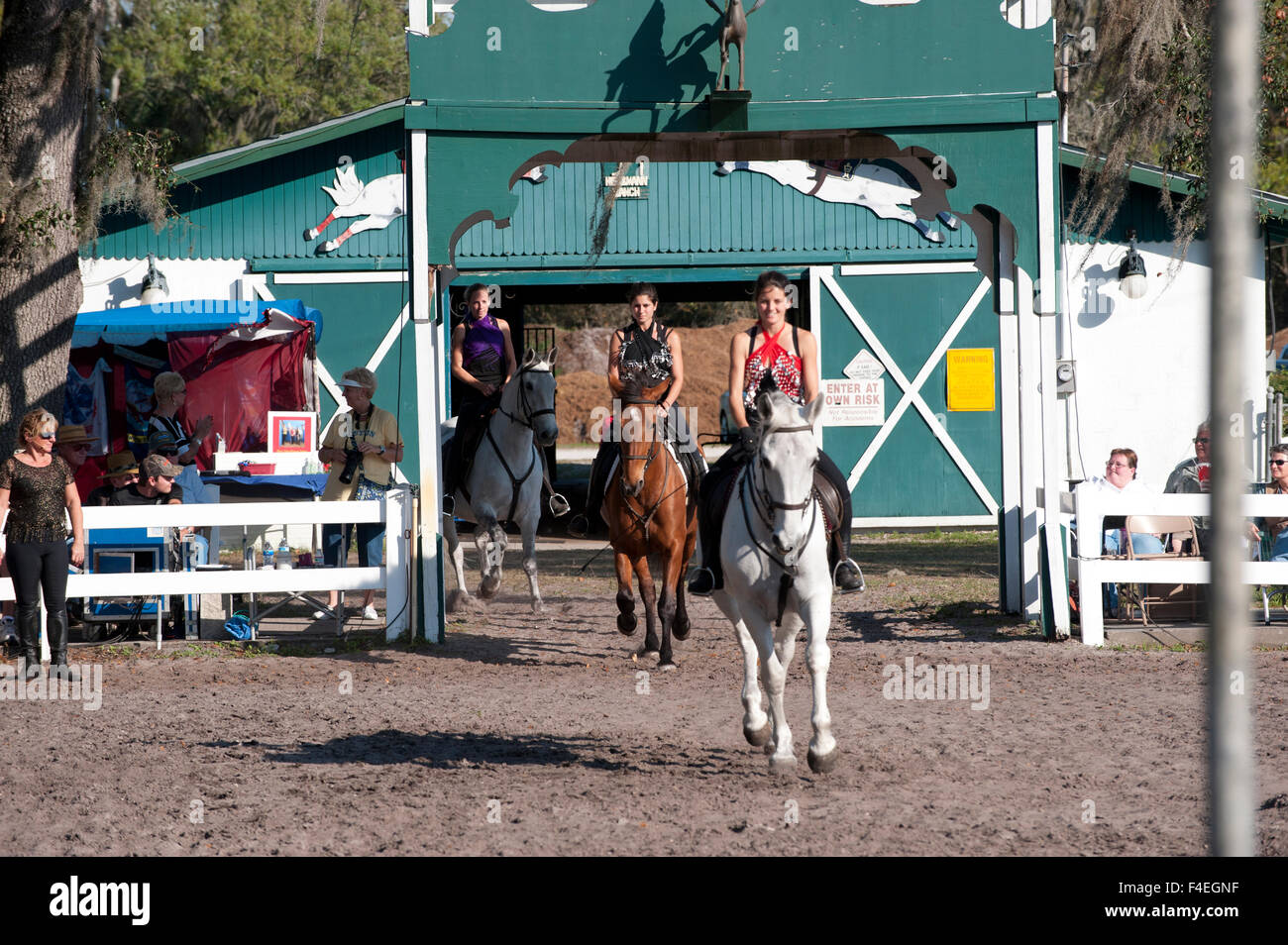 Florida, Myakka City, Colonel Herrmann's Royal Lipizzaner Ranch ...
