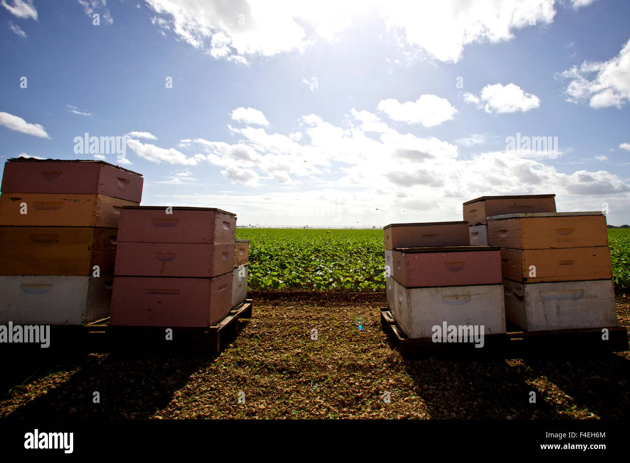 Homestead area hi-res stock photography and images - Alamy