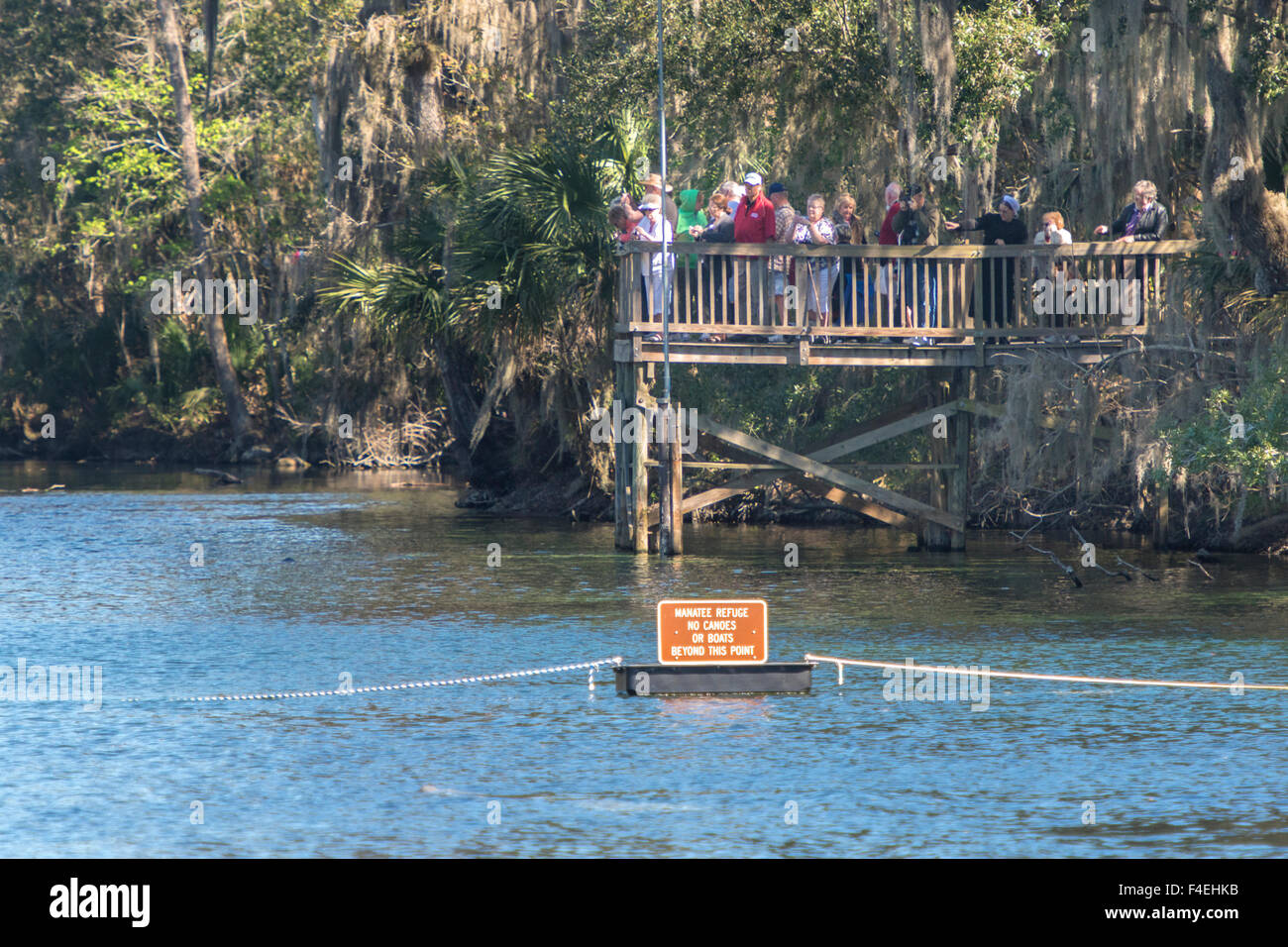 USA, Florida, Orange City, St. Johns River, Blue Spring State Park ...