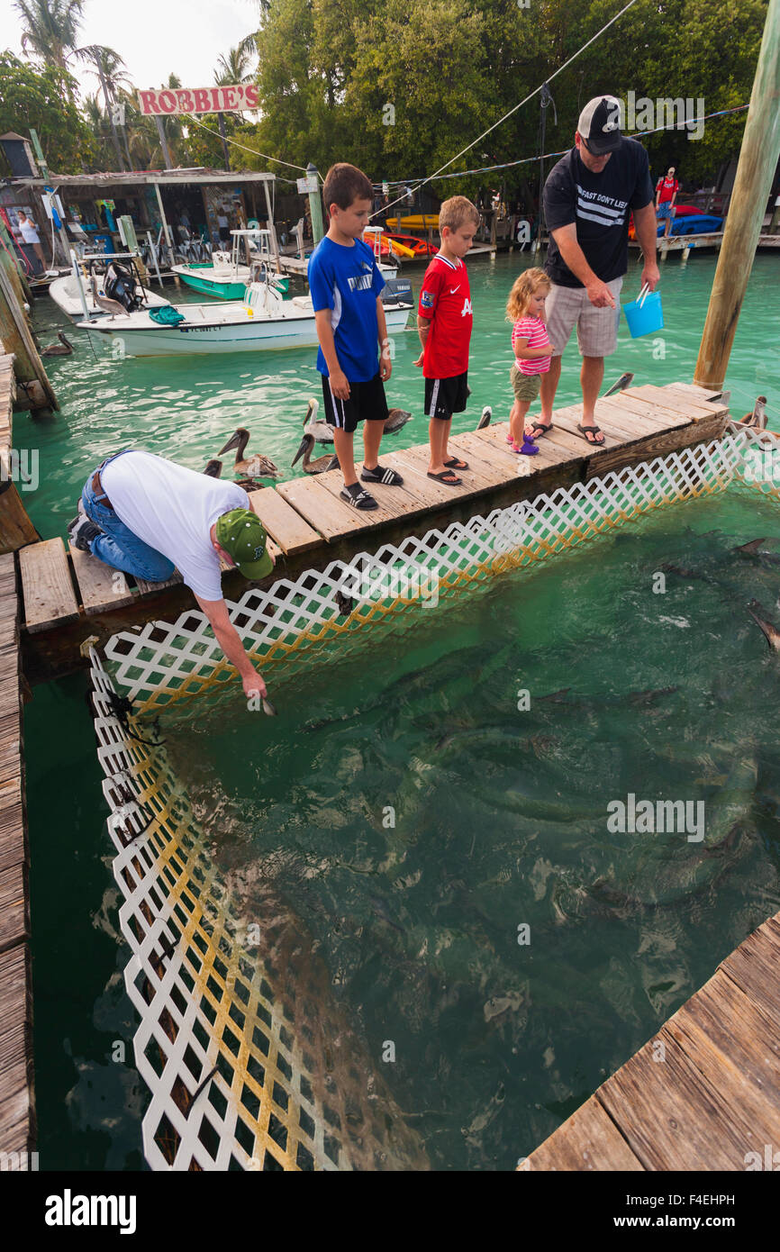 Robbies marina hi-res stock photography and images - Alamy