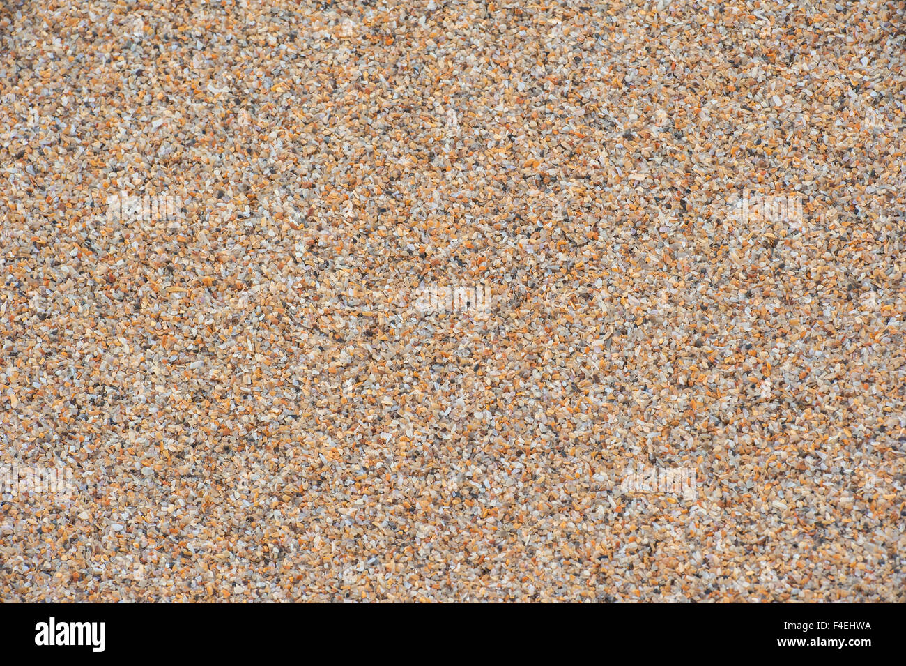 USA, Florida, New Smyrna Beach, coarse sand Stock Photo - Alamy