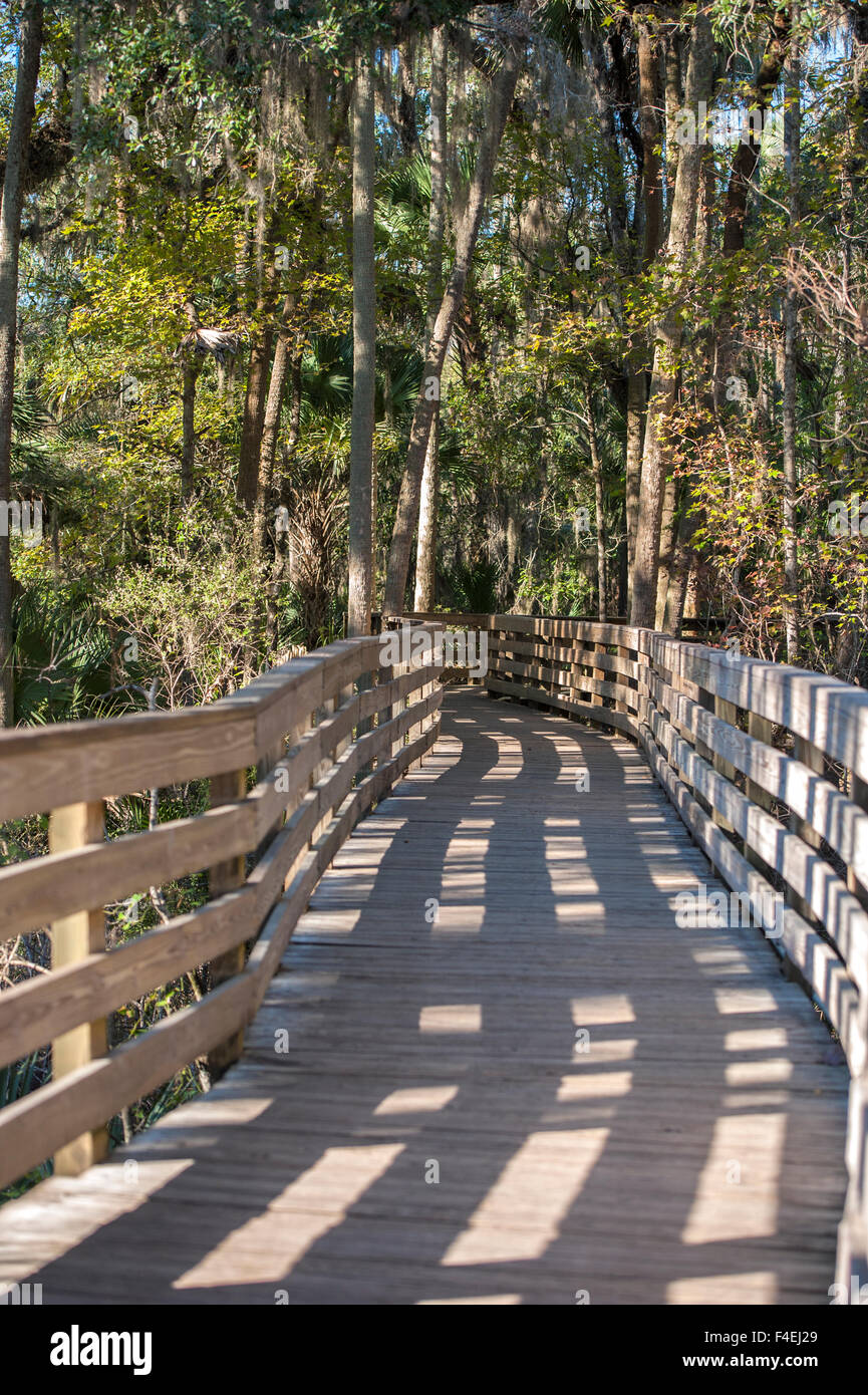 USA, Florida, Orange City, Blue Spring, Blue Spring State Park ...