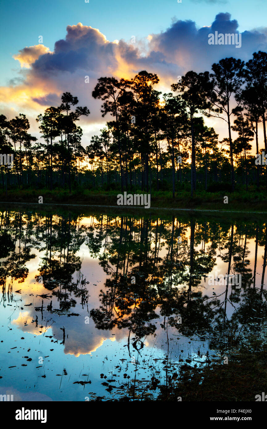 Terry long hi-res stock photography and images - Alamy