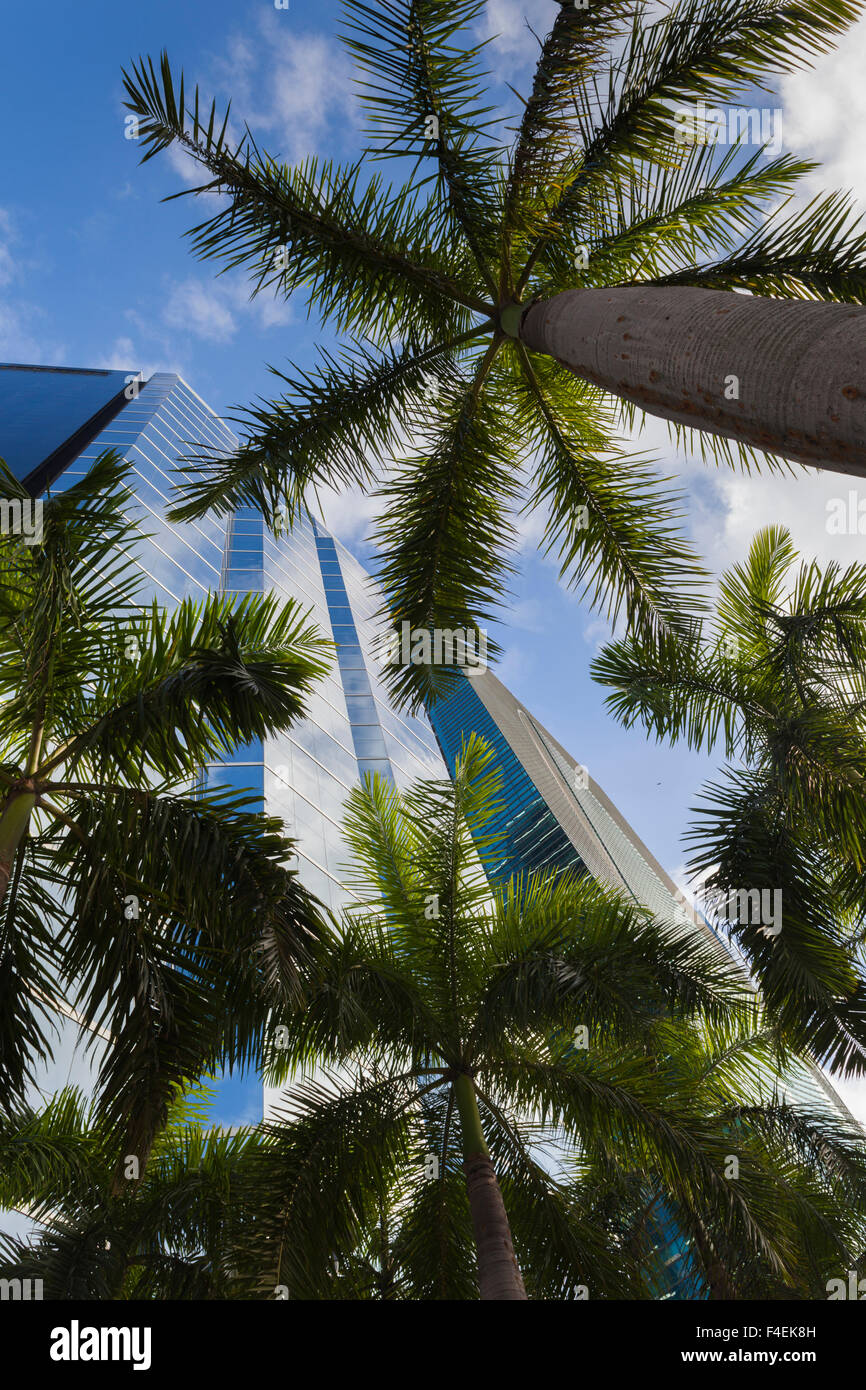 USA, Florida, Miami, Brickell Avenue, high rise buildings Stock Photo ...