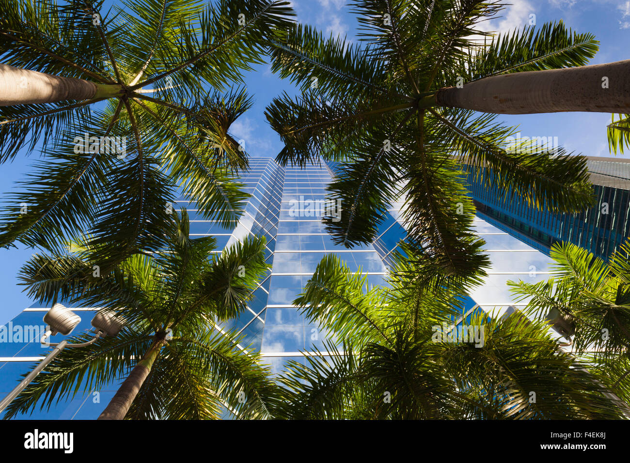 USA, Florida, Miami, Brickell Avenue, high rise buildings Stock Photo ...