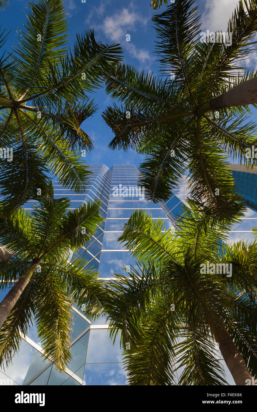 USA, Florida, Miami, Brickell Avenue, high rise buildings Stock Photo ...