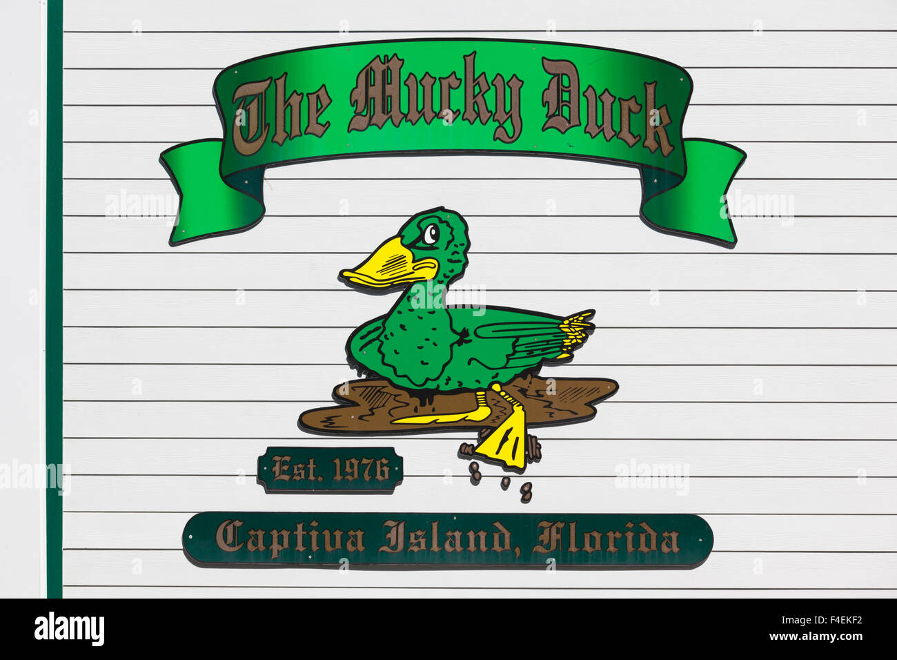 Lucky duck hi-res stock photography and images - Alamy