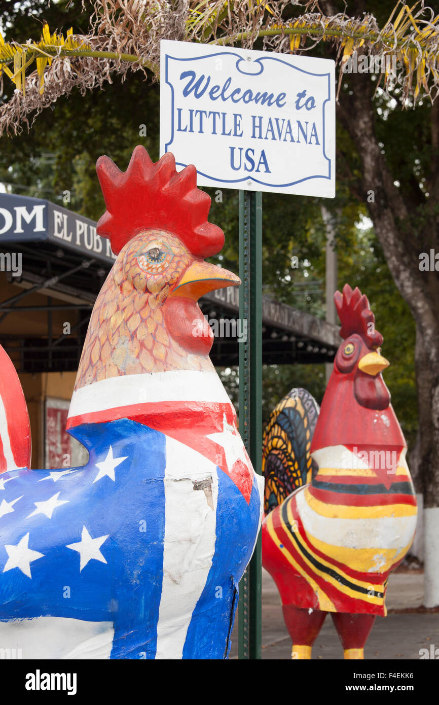 Cuban rooster hi-res stock photography and images - Alamy