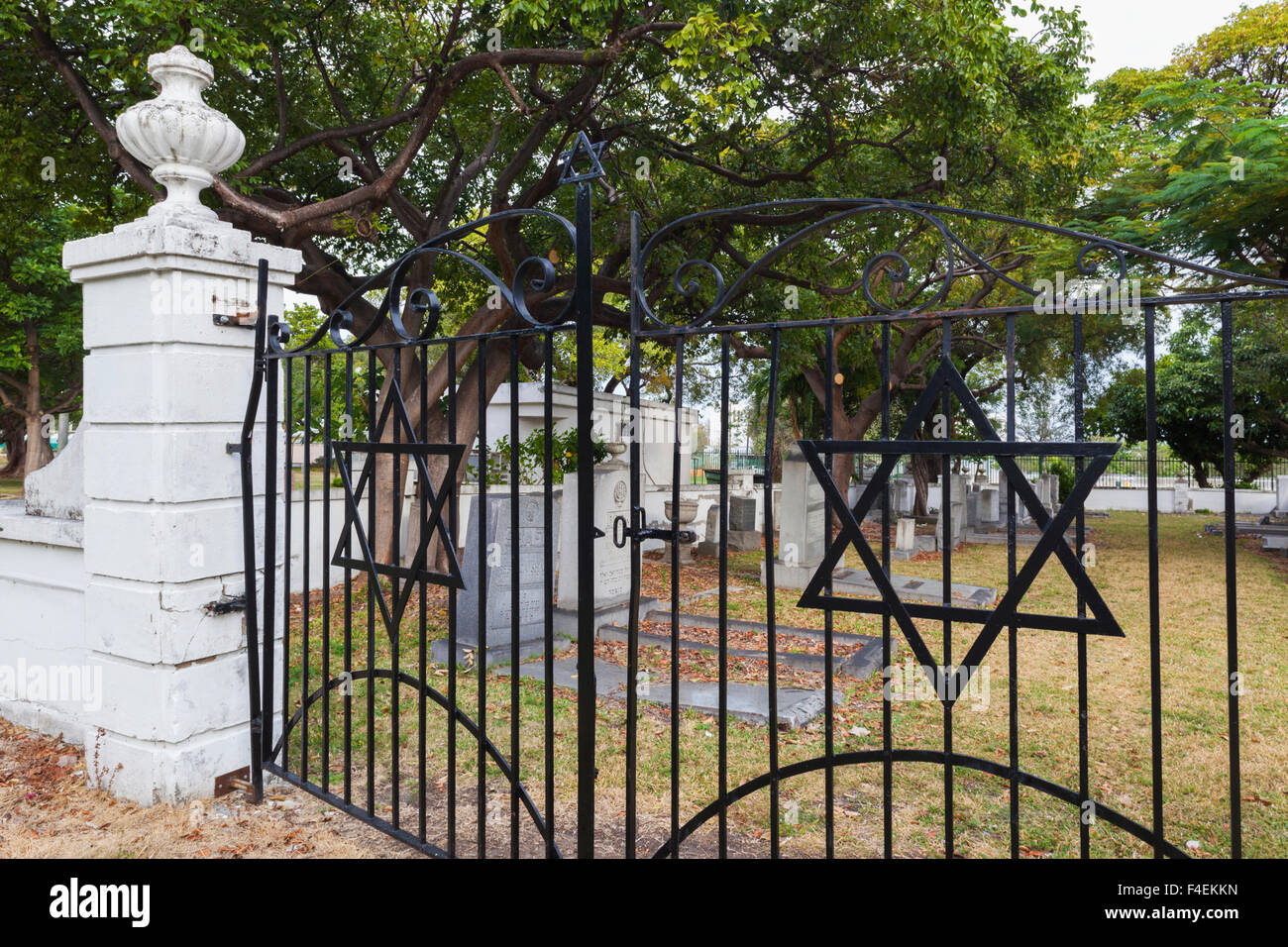 USA, Florida, Miami, Miami City Cemetery, Jewish section Stock Photo ...