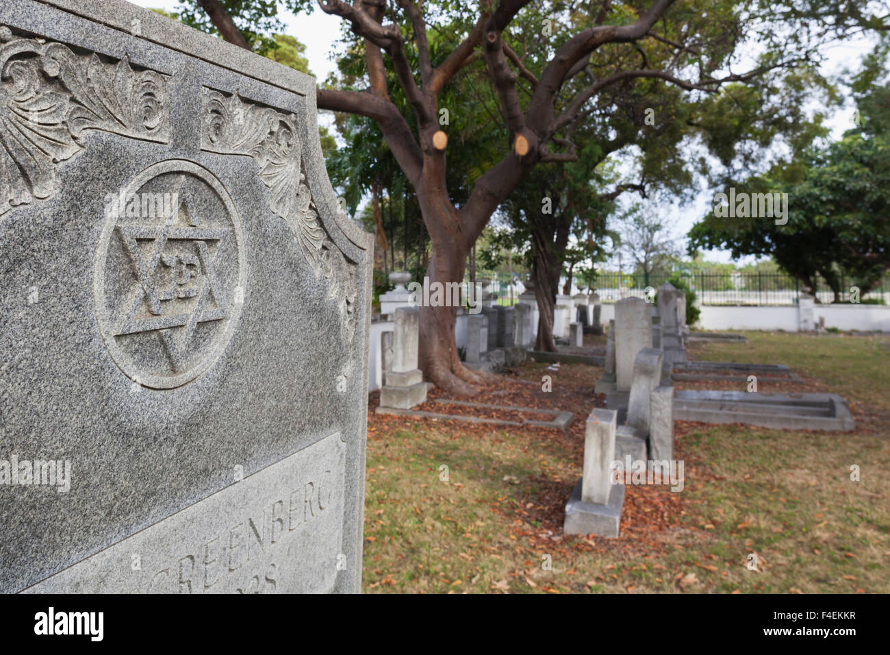 USA, Florida, Miami, Miami City Cemetery, Jewish section Stock Photo ...