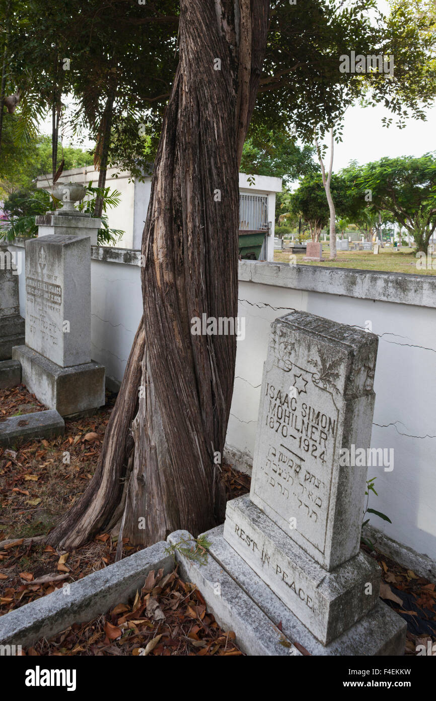 USA, Florida, Miami, Miami City Cemetery, Jewish section Stock Photo ...