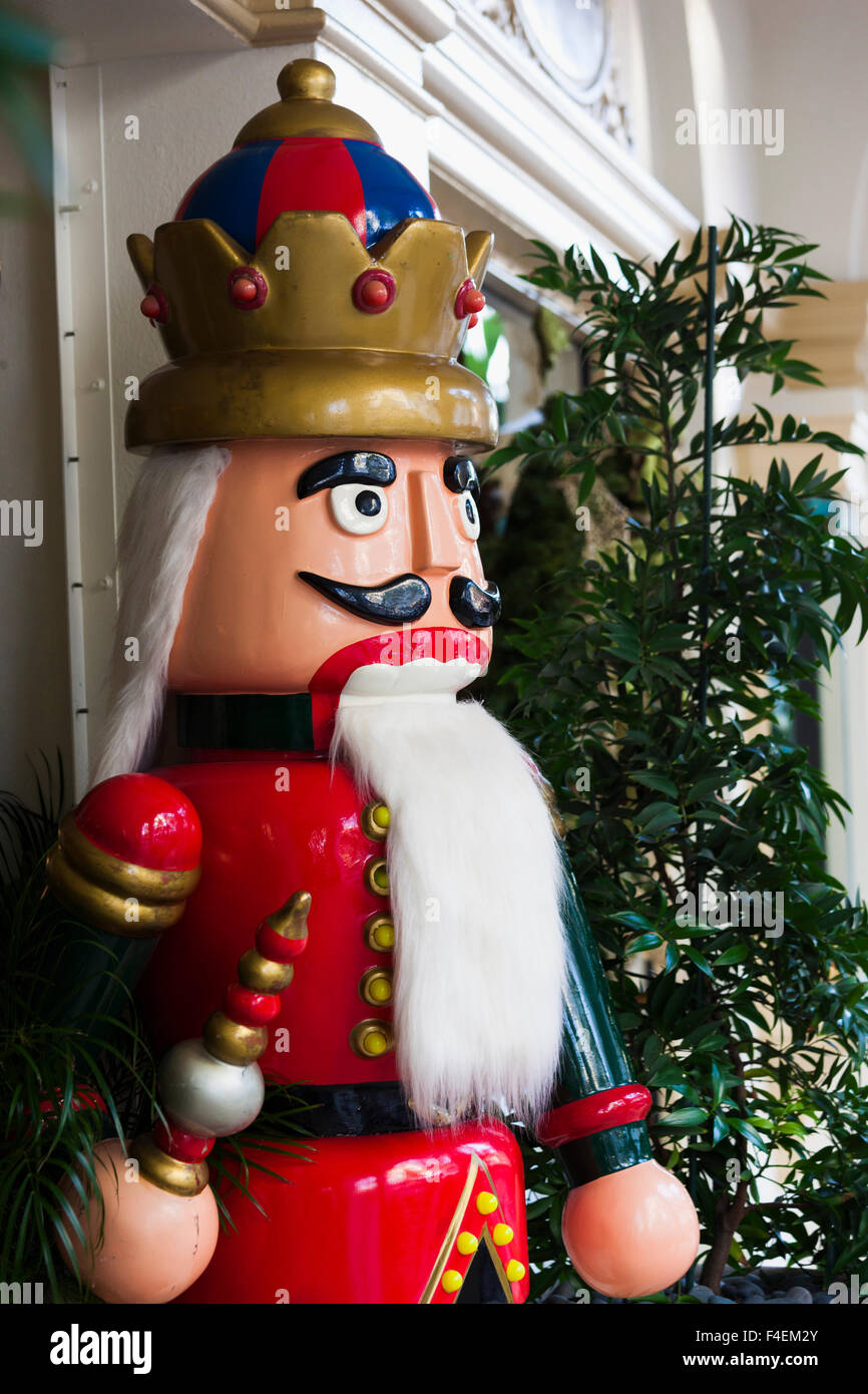 Southern nutcracker hi-res stock photography and images - Alamy