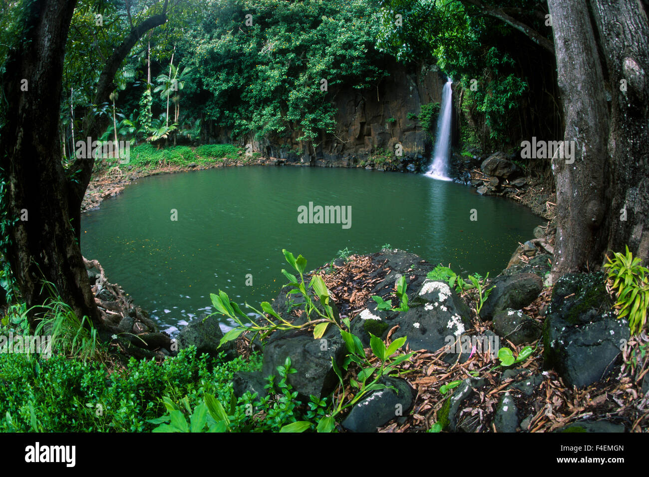 Lawai Waterfall and Pond (Fisheye), National Tropical Botanical Garden ...
