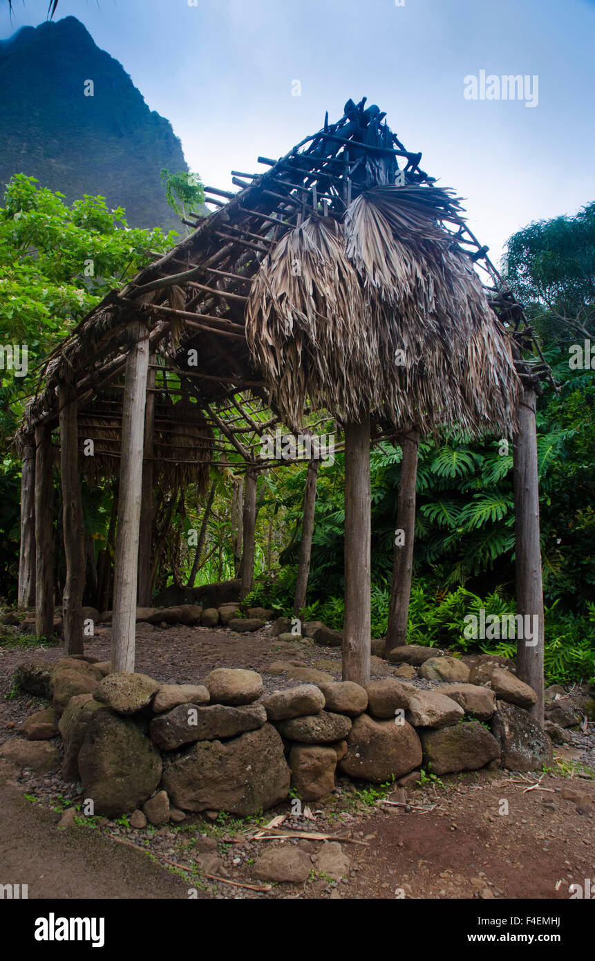 Grass shack hawaii hi-res stock photography and images - Alamy