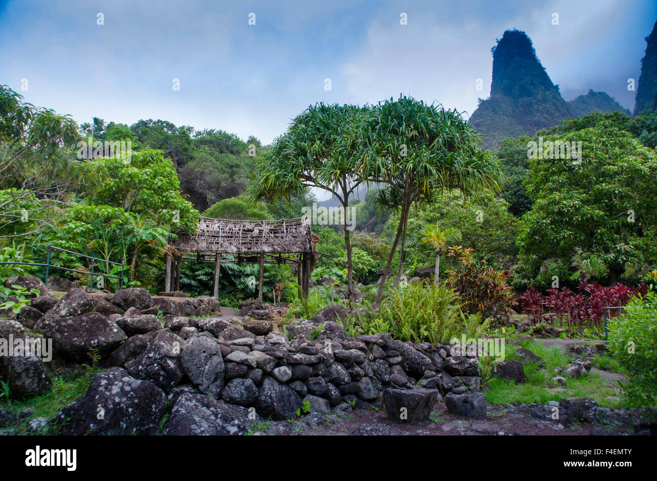 Grass shack hawaii hi-res stock photography and images - Alamy