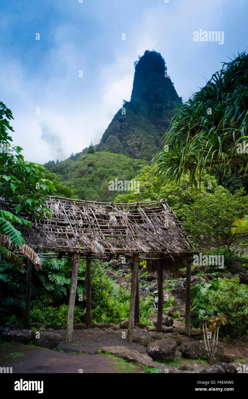 Grass shack hawaii hi-res stock photography and images - Alamy