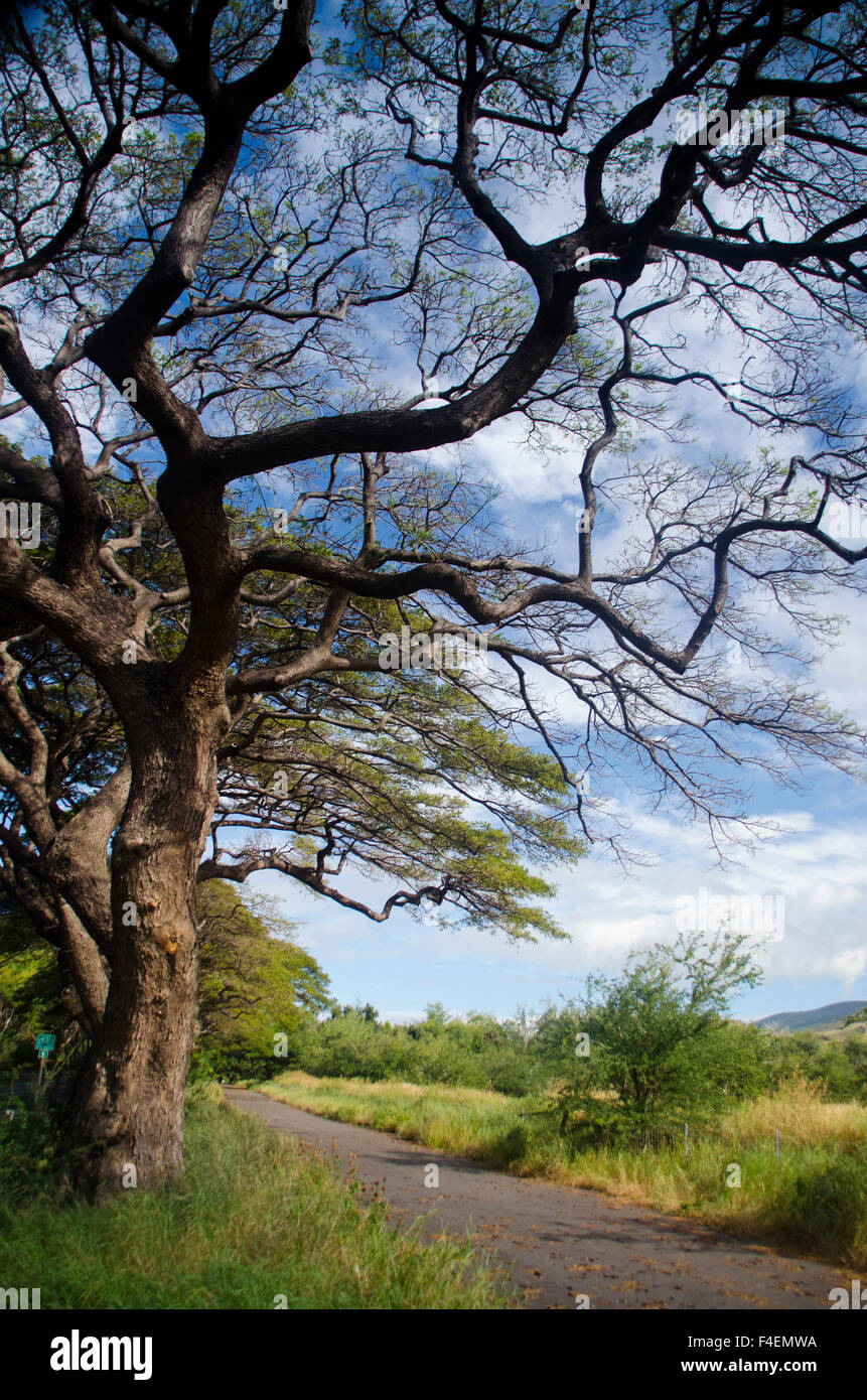 Roddy road hi-res stock photography and images - Alamy