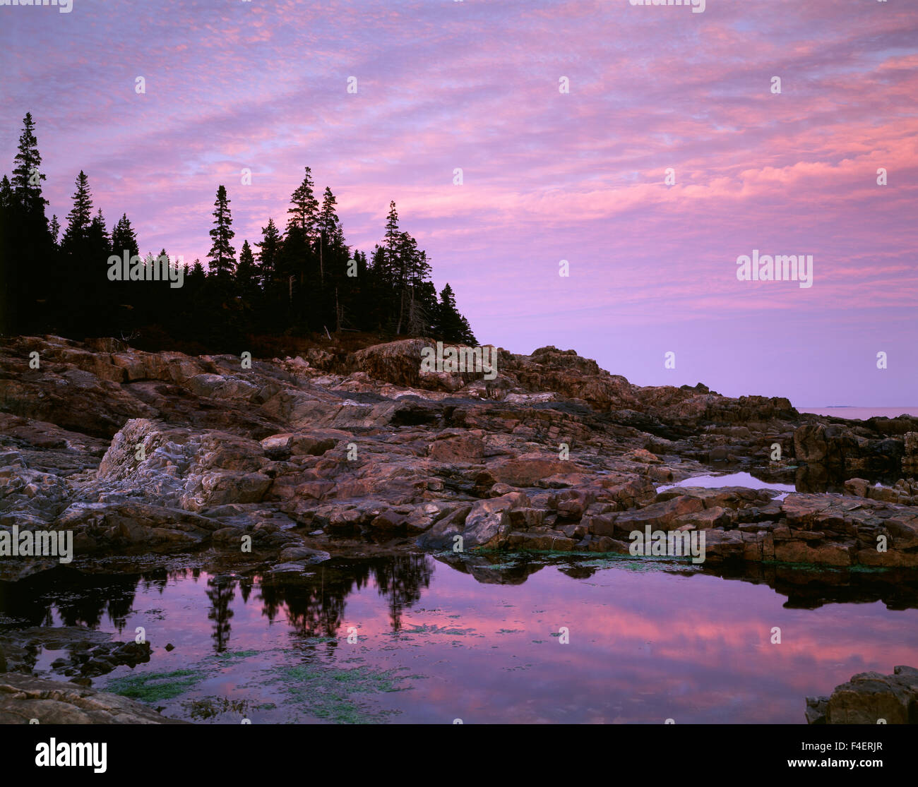 Tide Pools Acadia National Park High Resolution Stock Photography and ...