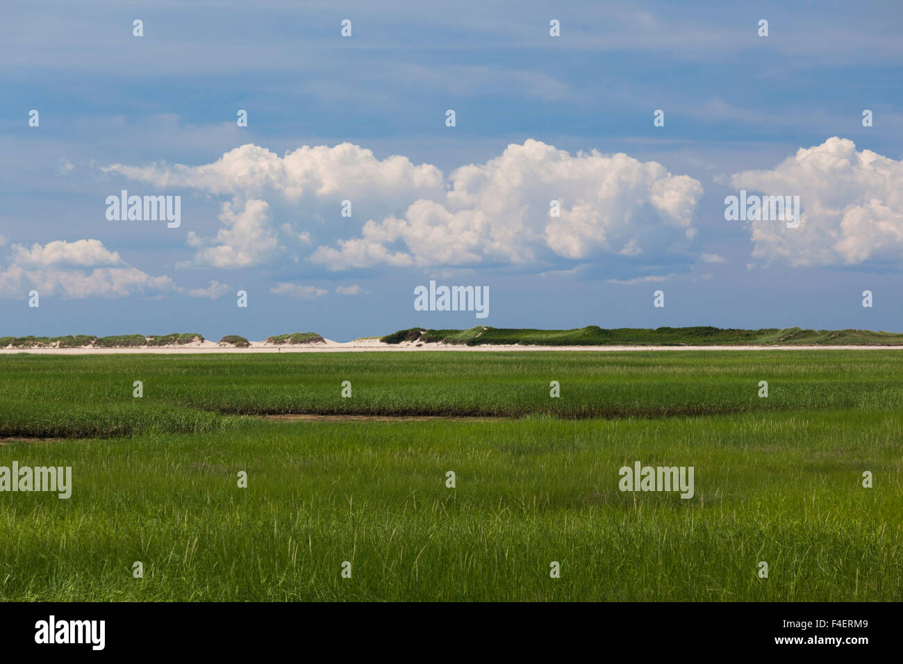 Massachusetts, Cape Cod, Provincetown, The West End, marshes Stock ...