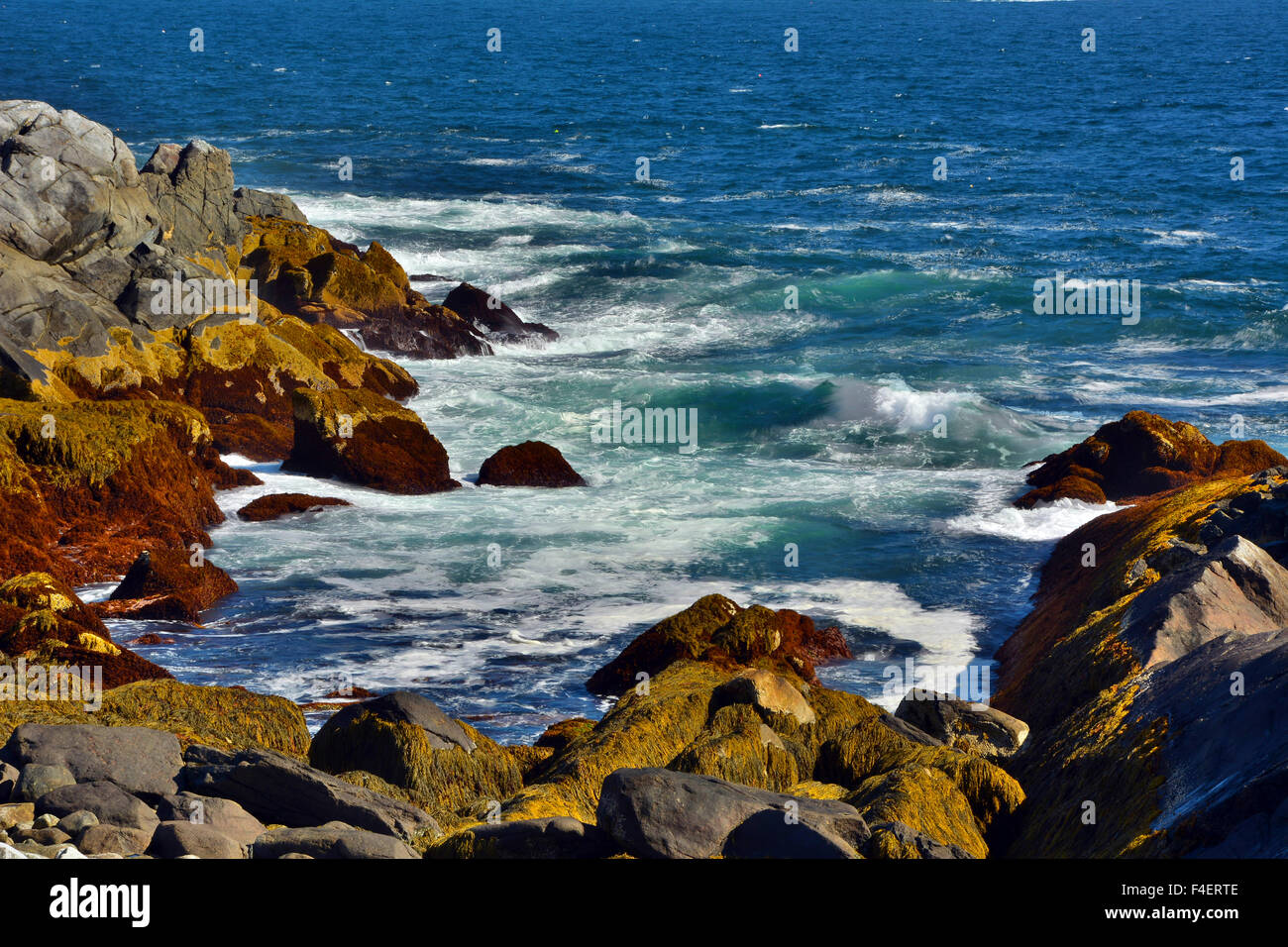 rocks and surf, Monhegan Island, New England, Maine, USA Stock Photo ...