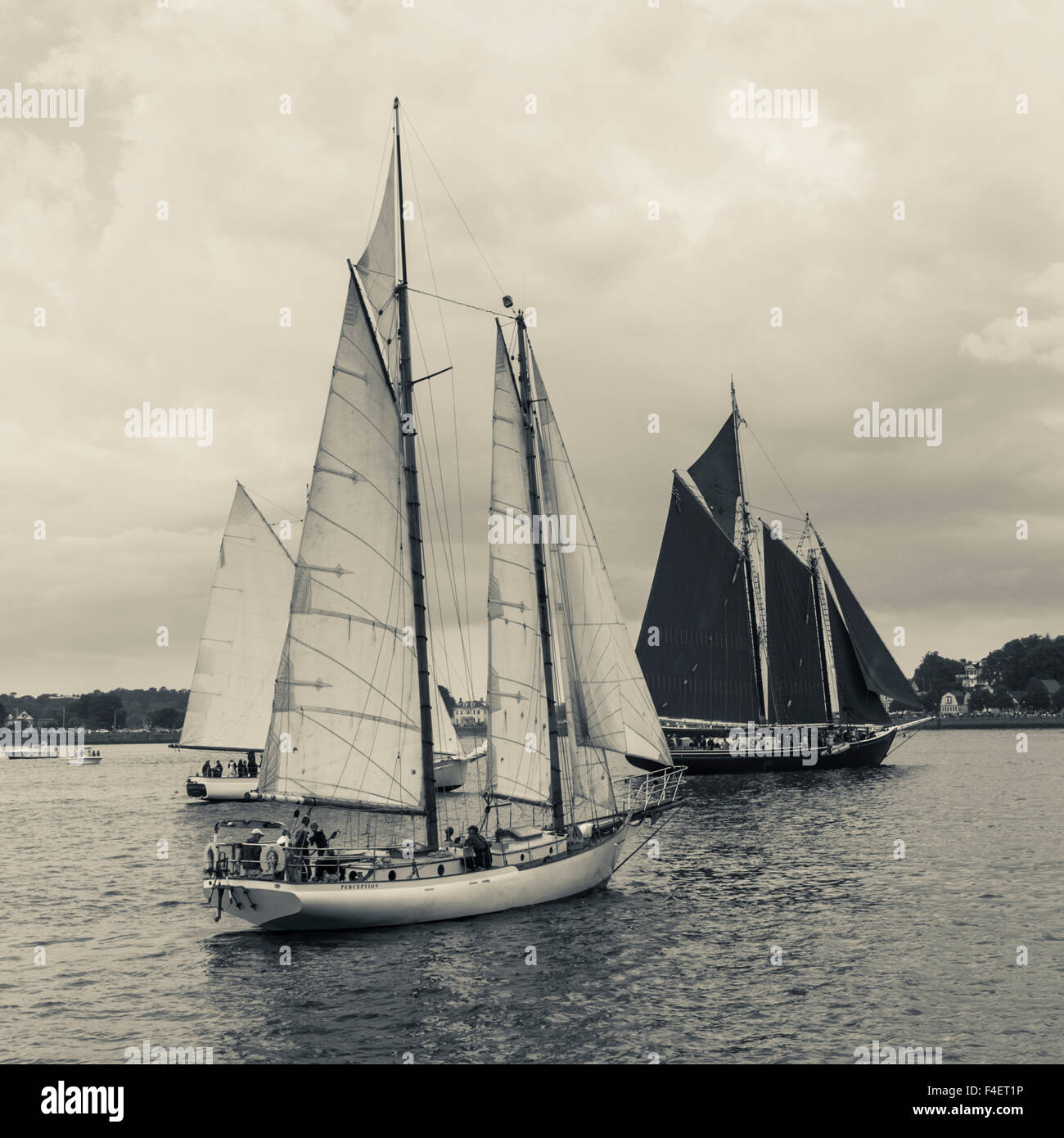Massachusetts, Gloucester, Schooner Festival, schooners in Gloucester ...