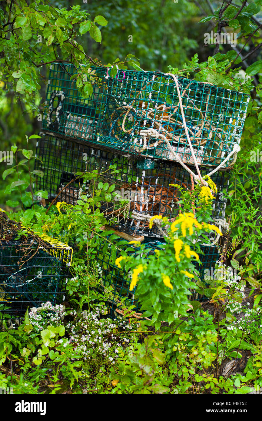Maine, Mt. Desert Island, Bernard, old lobster trap Stock Photo - Alamy