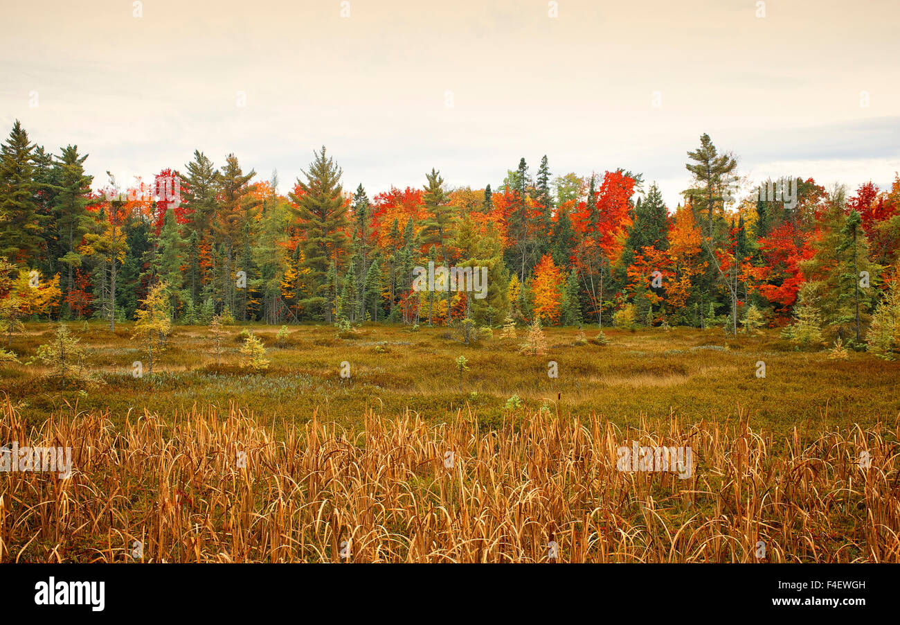 Michigan, Upper Peninsula Stock Photo - Alamy