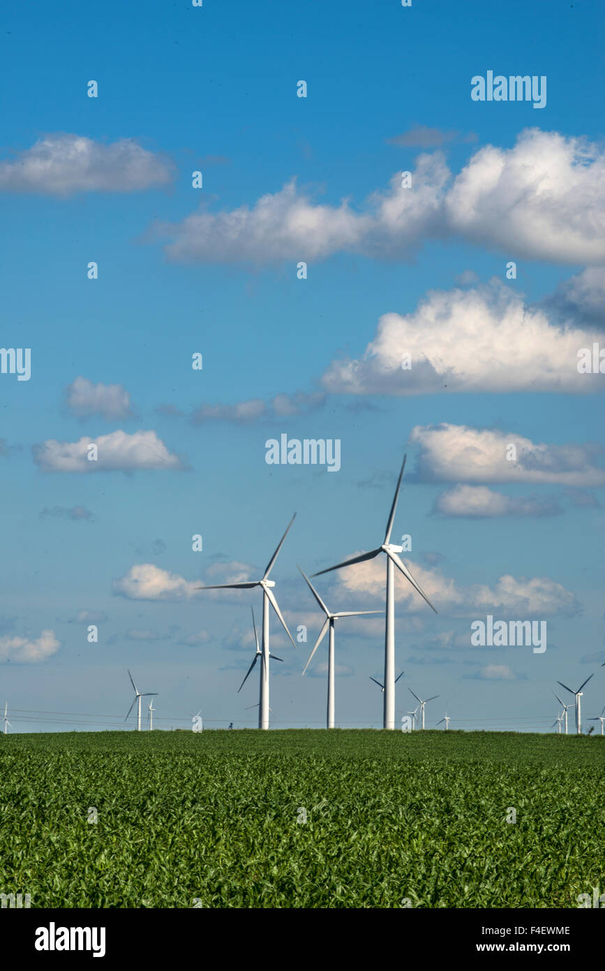 Minnesota, Dexter, Grand Meadow Wind Farm (Large format sizes available ...