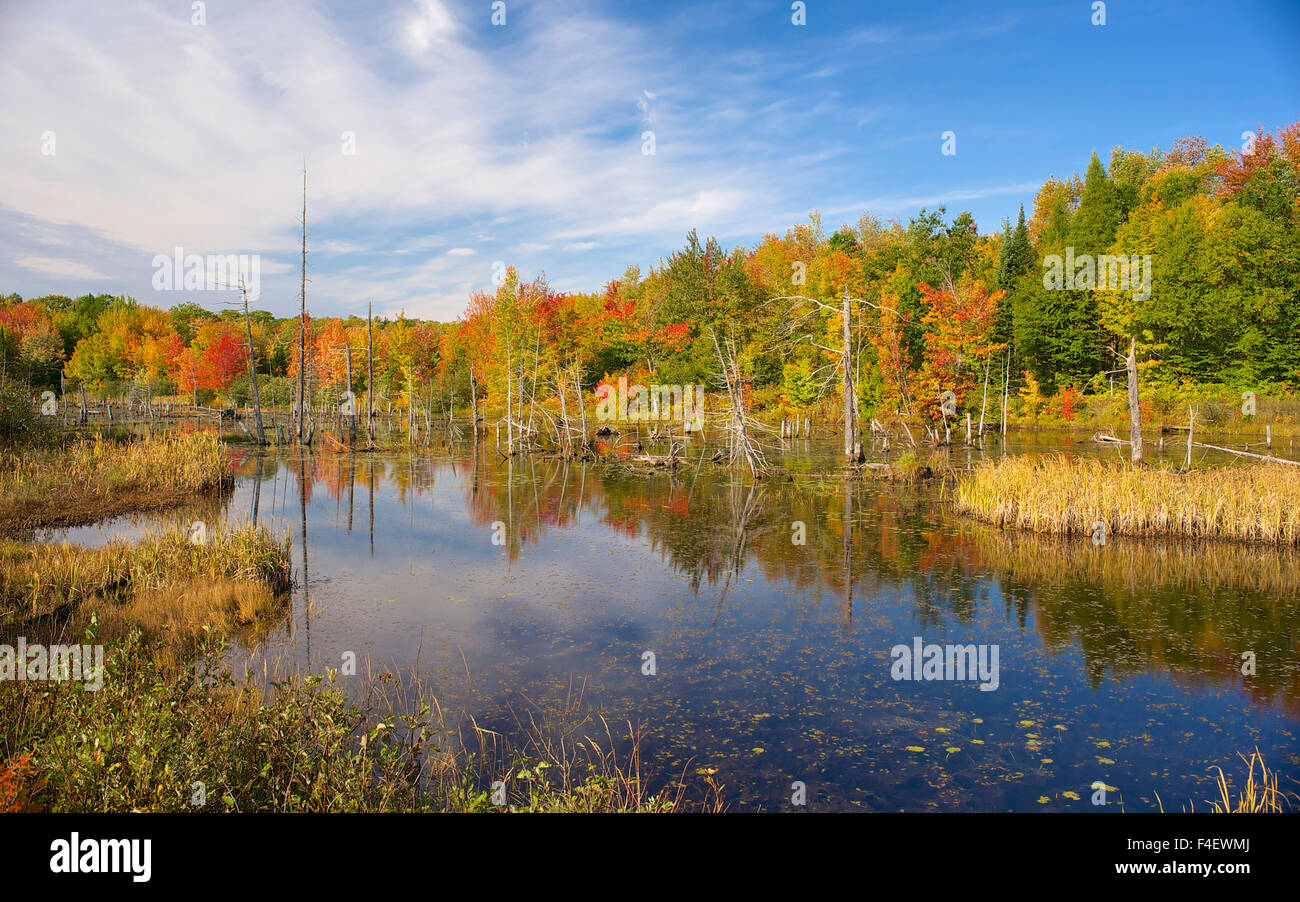 Michigan, Upper Peninsula. Small pond with colorful background Stock ...