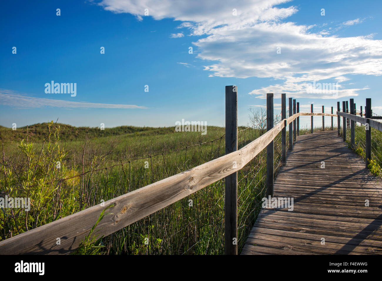 Minnesota, Duluth, Park Point, Boardwalk over Dunes (Large format sizes ...