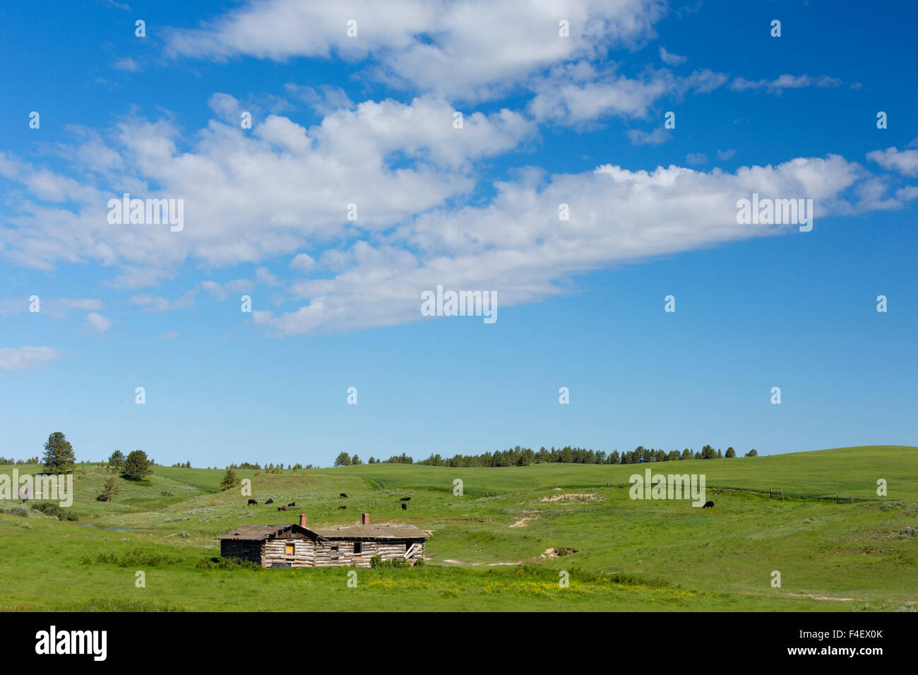 USA, Montana, Fergus County, Old homestead Stock Photo - Alamy